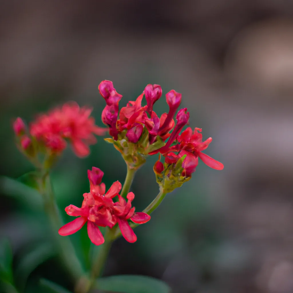 Mude o Seu Jardim Com a Flor de Bonina: Dicas Inovadoras! - Manual de ...