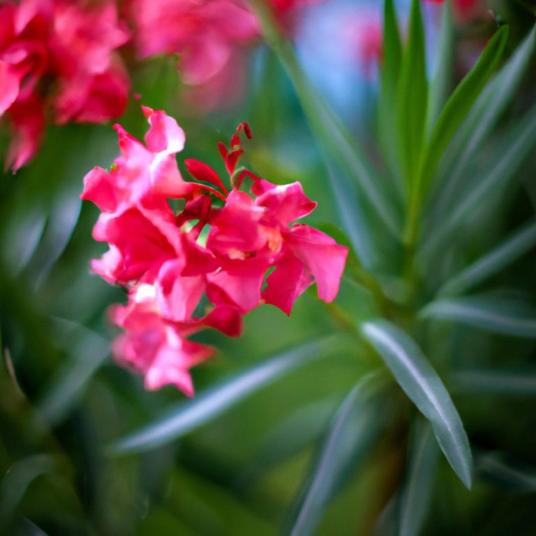 Descubra Como Cuidar da Oleandra e Ter Sucesso! - GPA Brasil